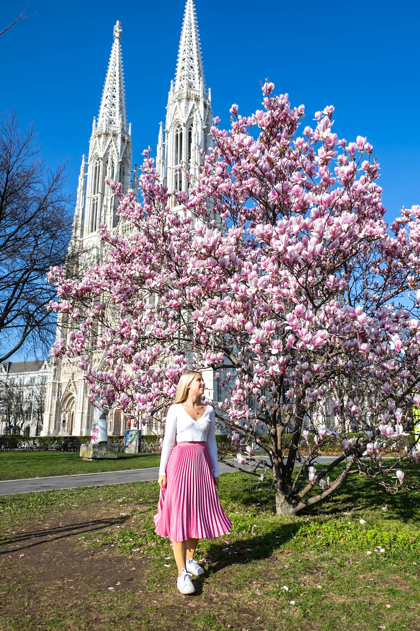 The best places to see magnolia and cherry blossoms in Vienna – Know ...